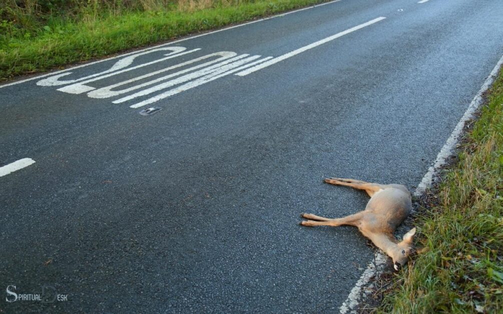 What Is The Spiritual Meaning Of Seeing Dead Animal? Power!