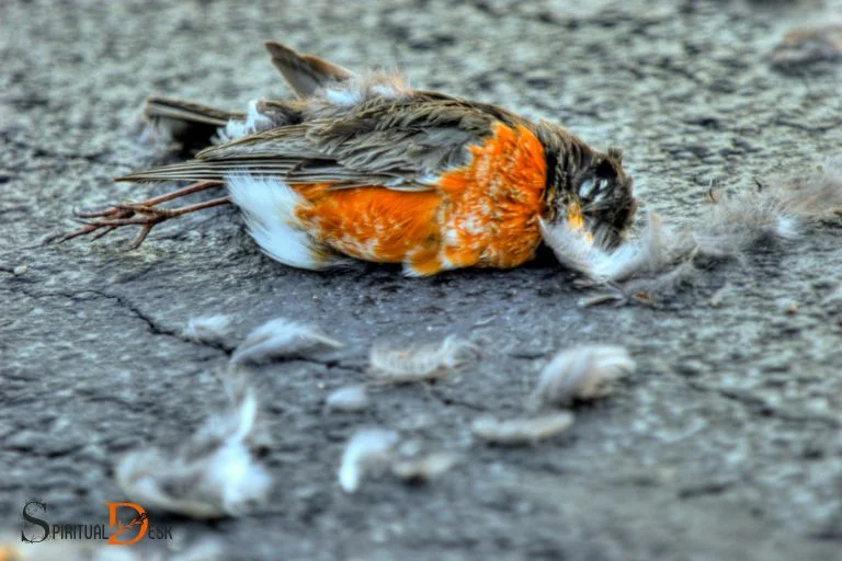 What Is The Spiritual Meaning Of A Dead Robin? Renewal!