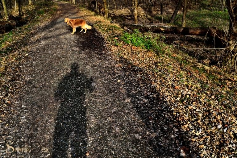 What Is A Shadow Walker Spiritual Meaning Darker Aspects